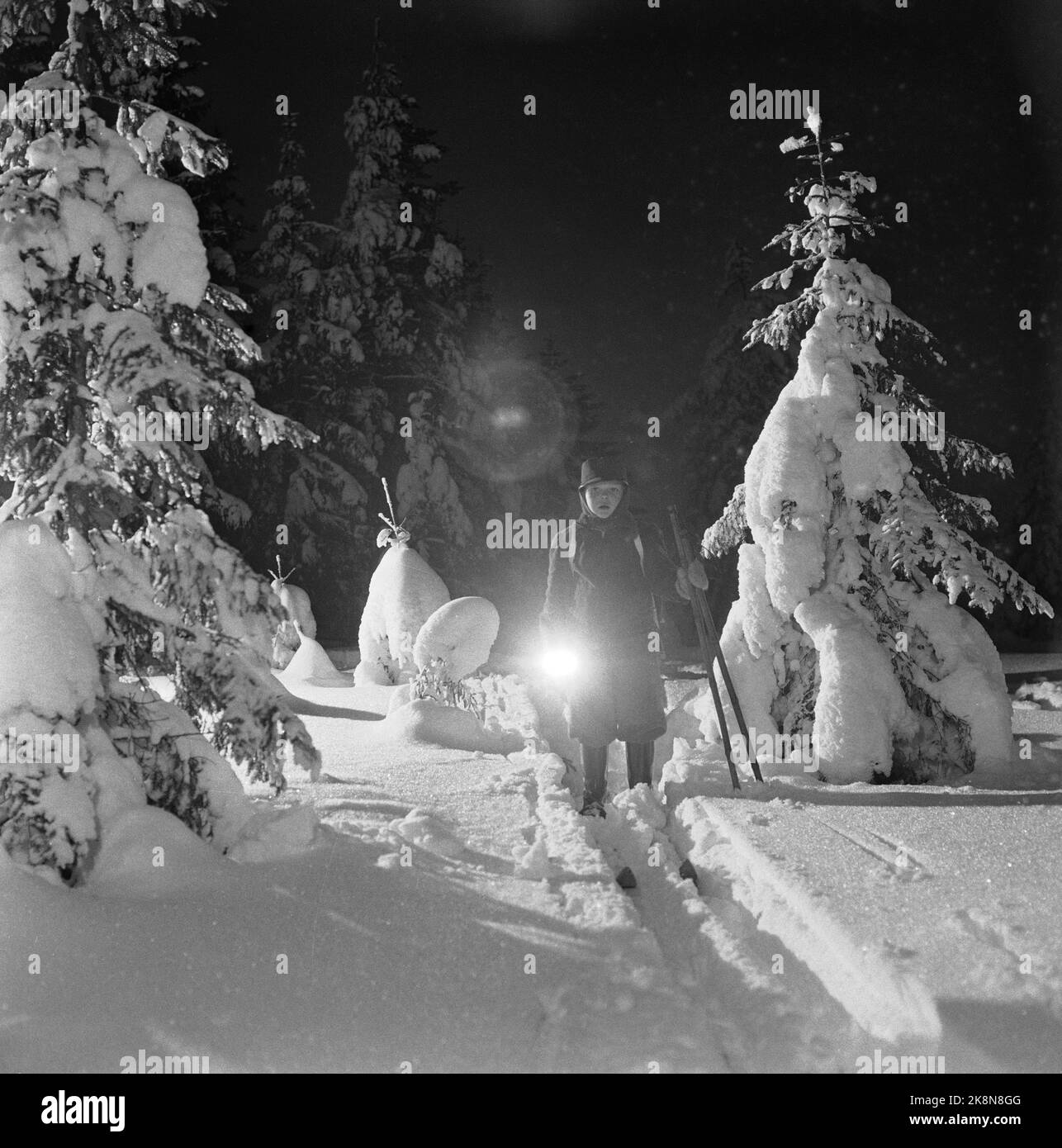 Kjell kommt aus dem dunklen wald -Fotos und -Bildmaterial in hoher Auflösung – Alamy