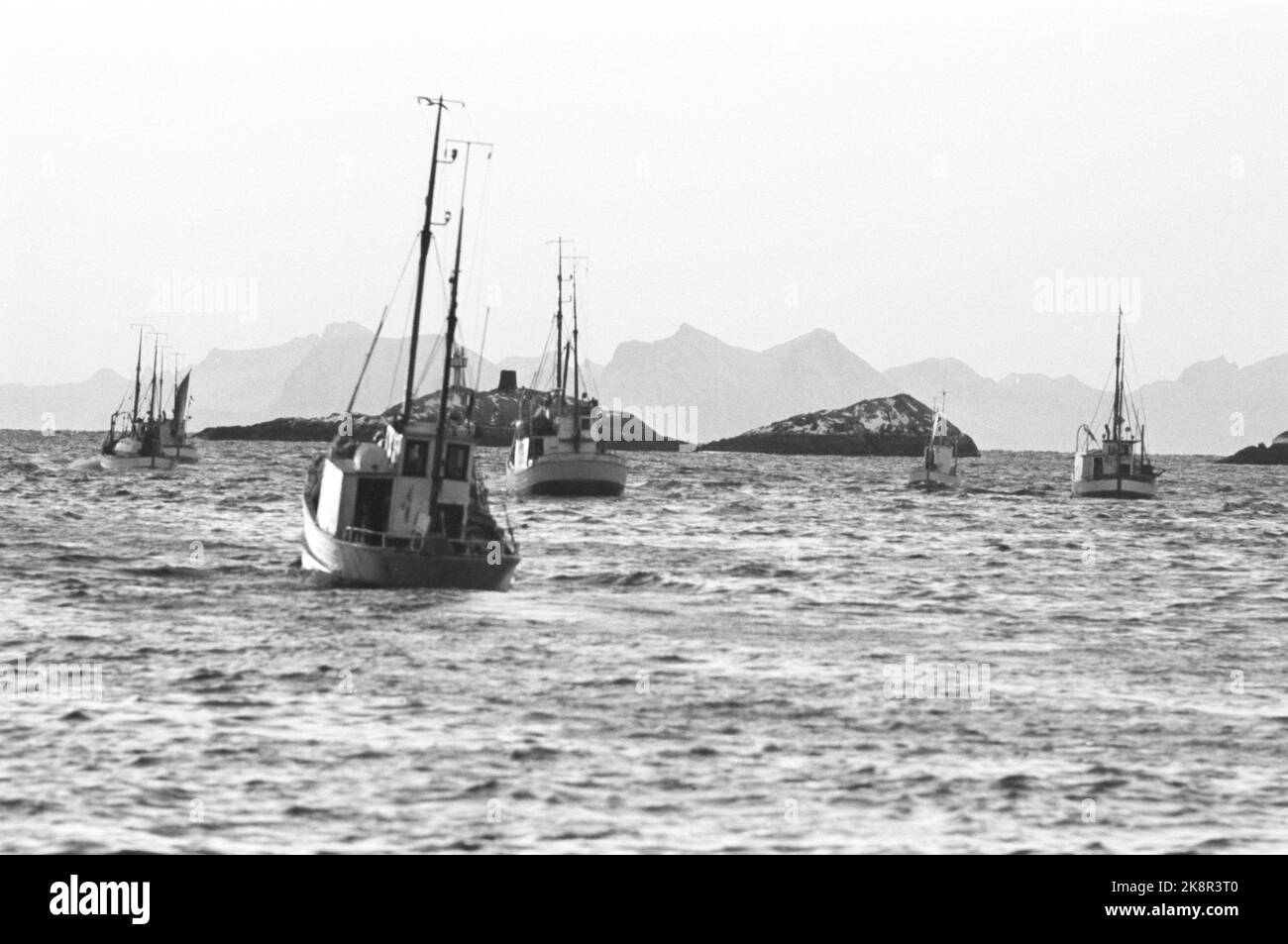 Lofoten, Henningsvær 10. April 1971. Nach einigen schlechten Jahren an ...