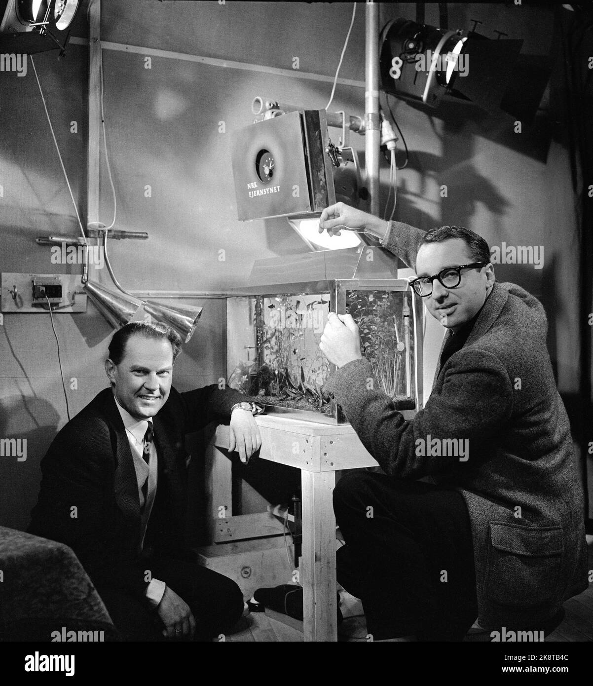 Oslo 19601130 NRK Television hat großen Erfolg mit seinen Programmen ...