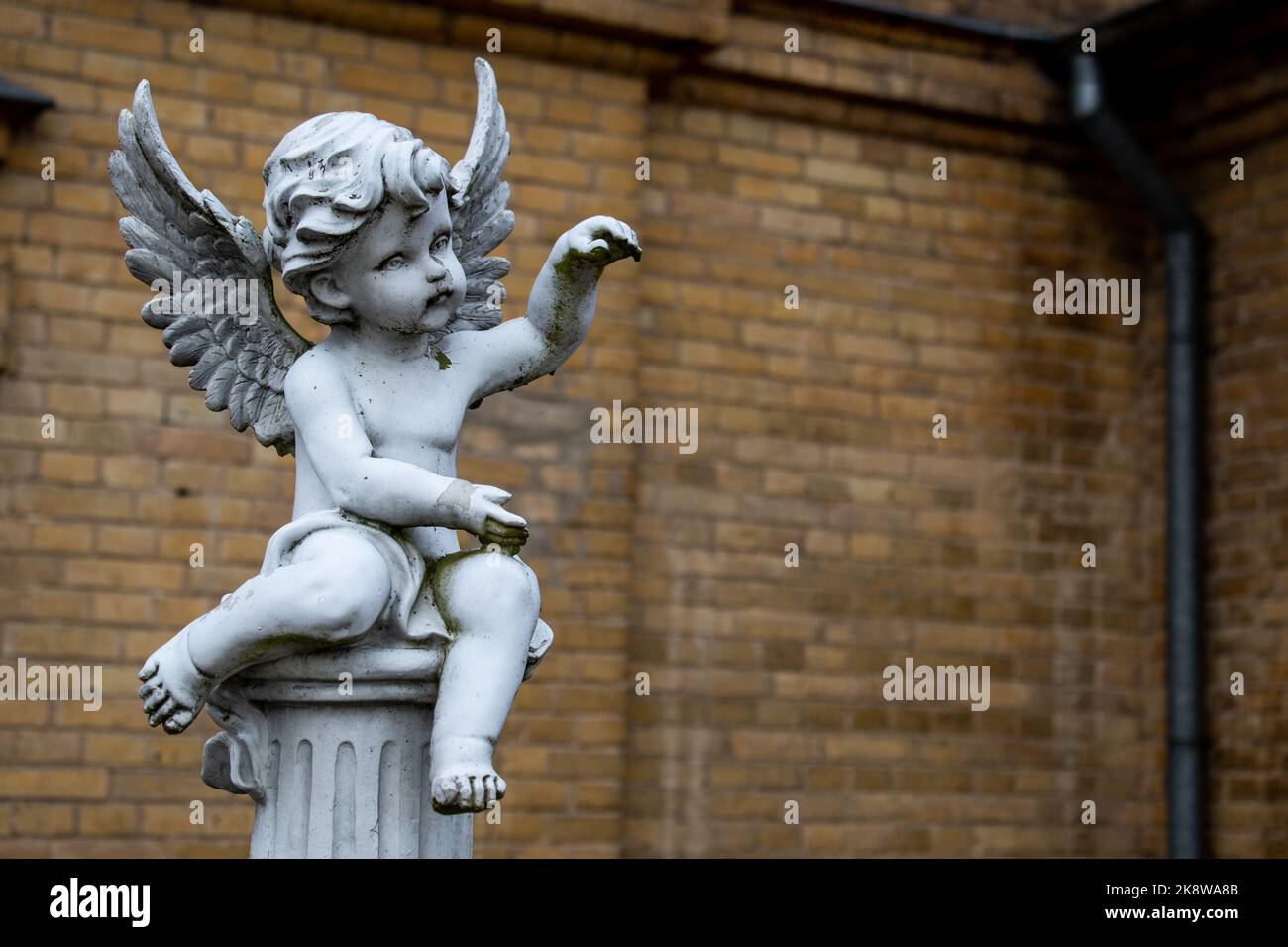 Engel punkte -Fotos und -Bildmaterial in hoher Auflösung – Alamy