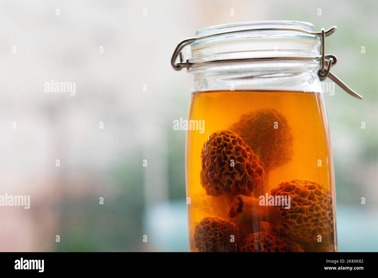 Mykologische ausstellung -Fotos und -Bildmaterial in hoher Auflösung ...