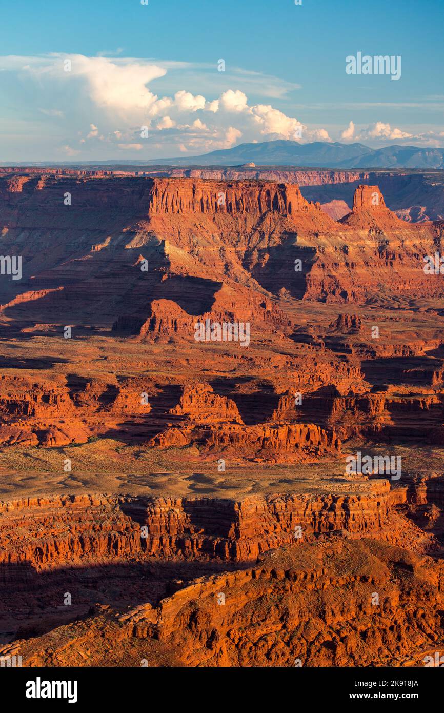 Blick nach Süden vom Dead Horse Point State Park in Richtung Hatch ...