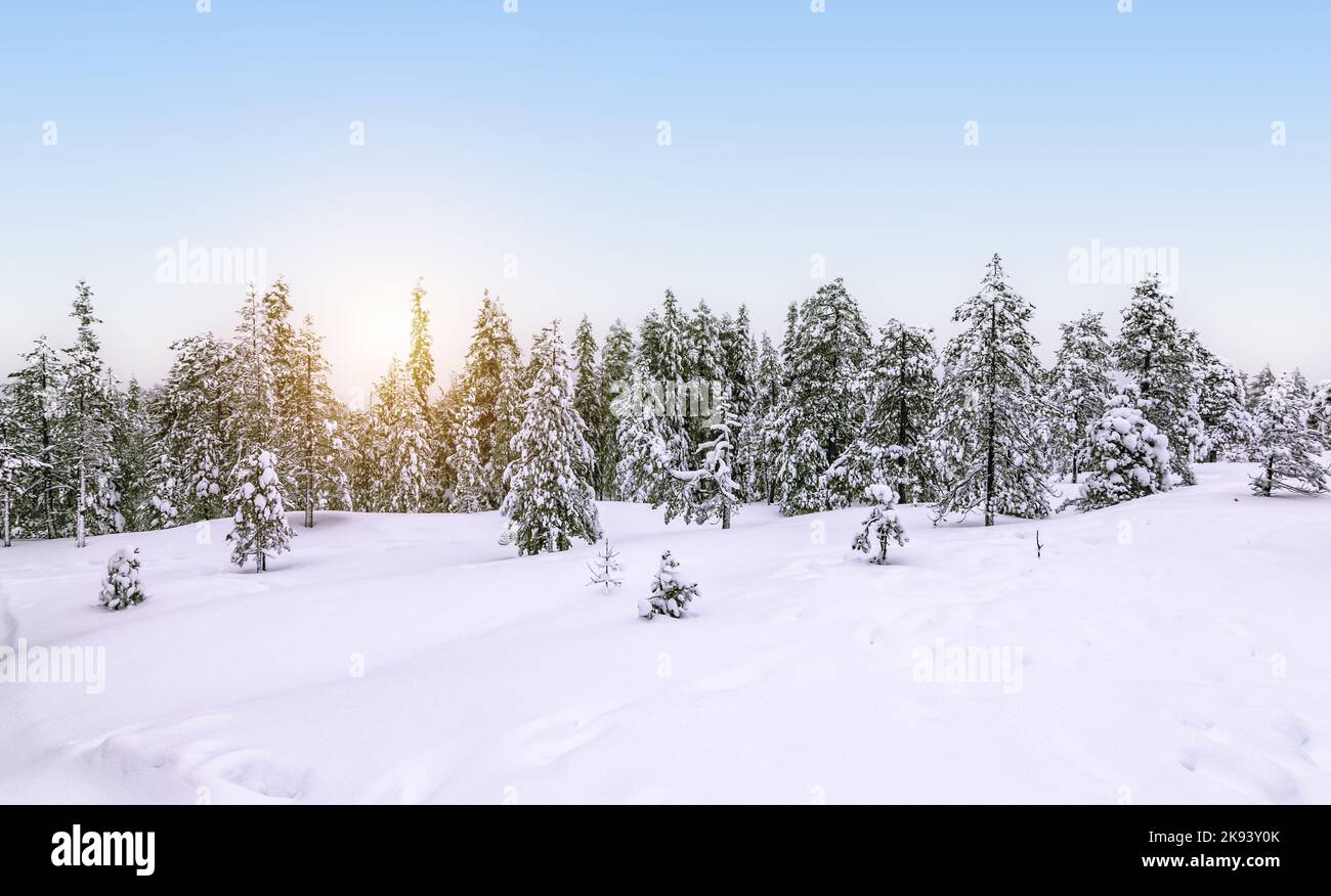 Verschneiter wald dezember -Fotos und -Bildmaterial in hoher Auflösung – Alamy