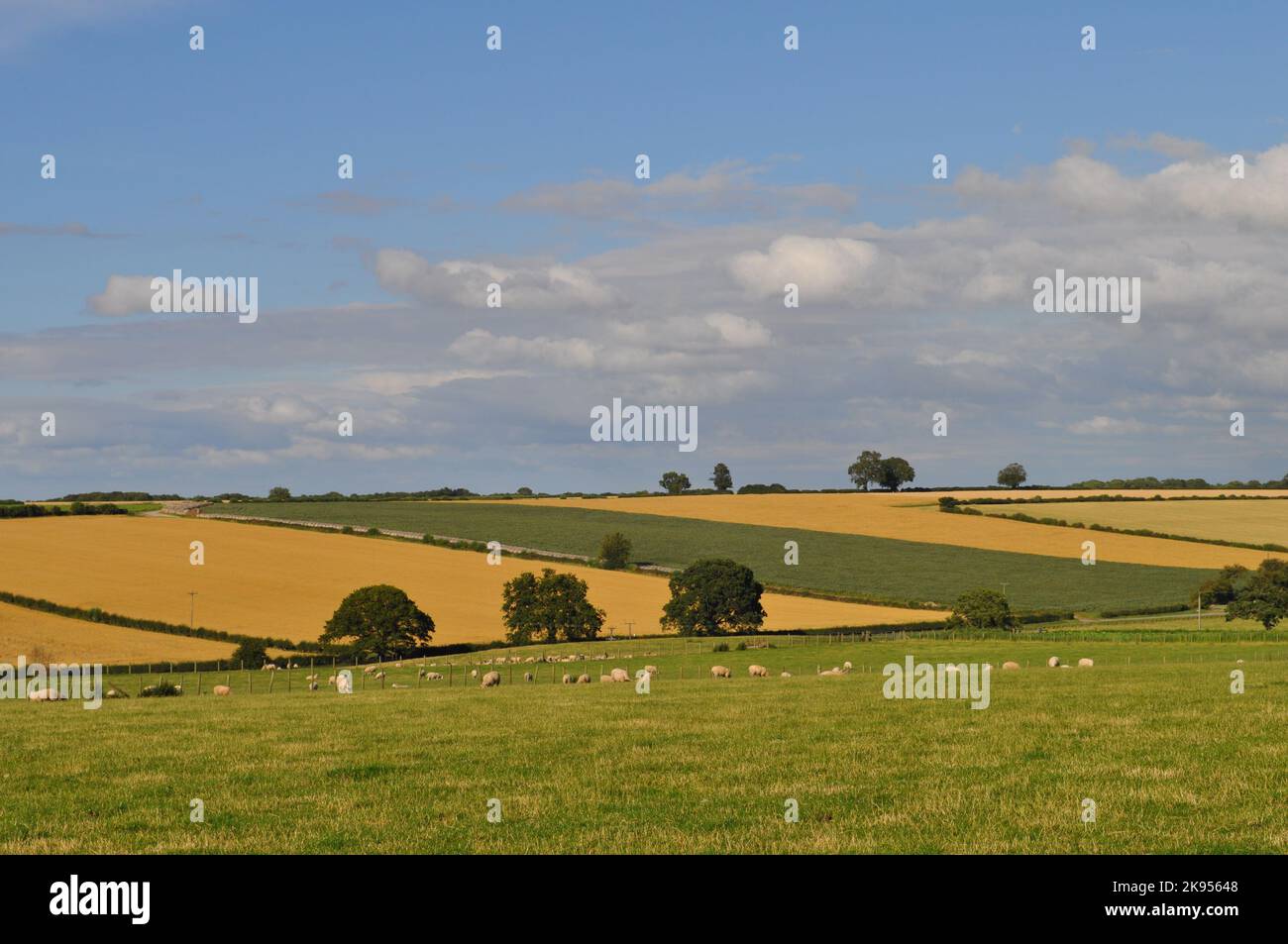 Ryedale district -Fotos und -Bildmaterial in hoher Auflösung – Alamy