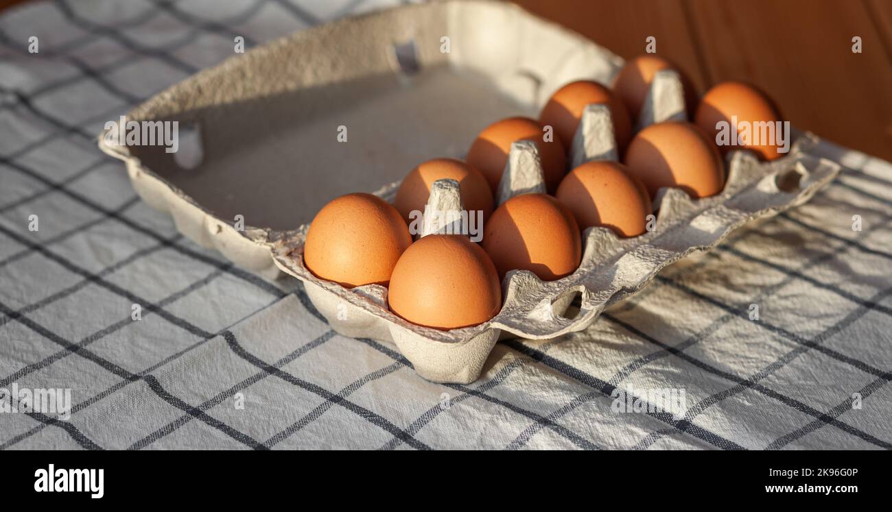 Ein paar braune Eier in den Zellen eines großen Pappbeutels, ein ...