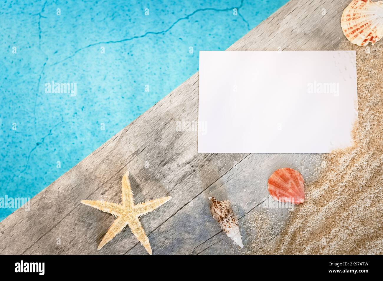 Seestern am kiesstrand -Fotos und -Bildmaterial in hoher Auflösung – Alamy