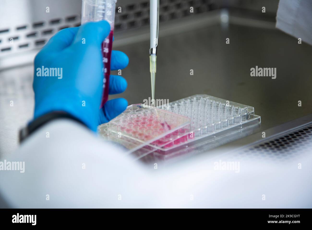 Cell culture flask -Fotos und -Bildmaterial in hoher Auflösung – Alamy