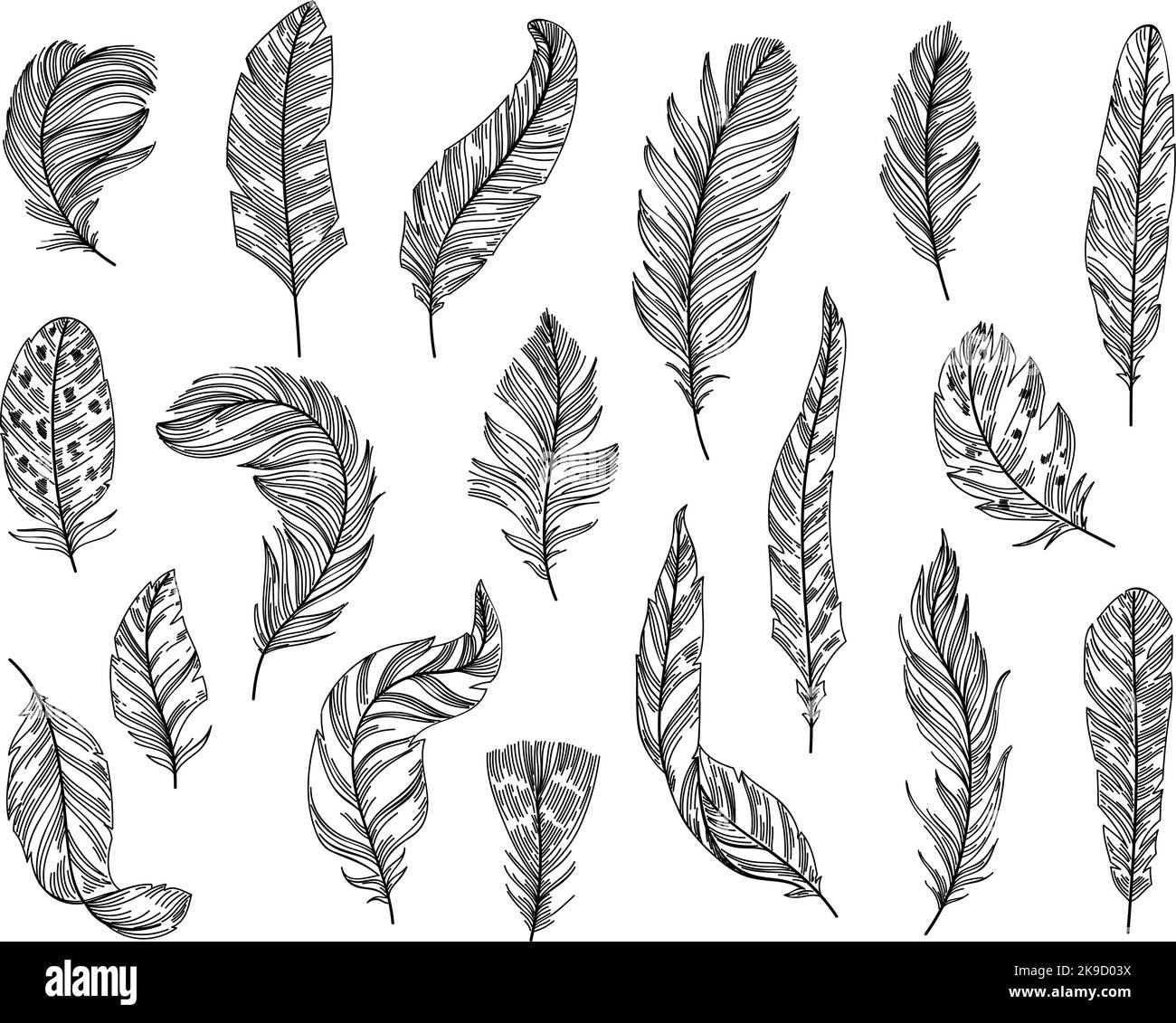 Skizzieren Sie ethnische Federn. Handgezeichnete Vogelfeder, leichte ...