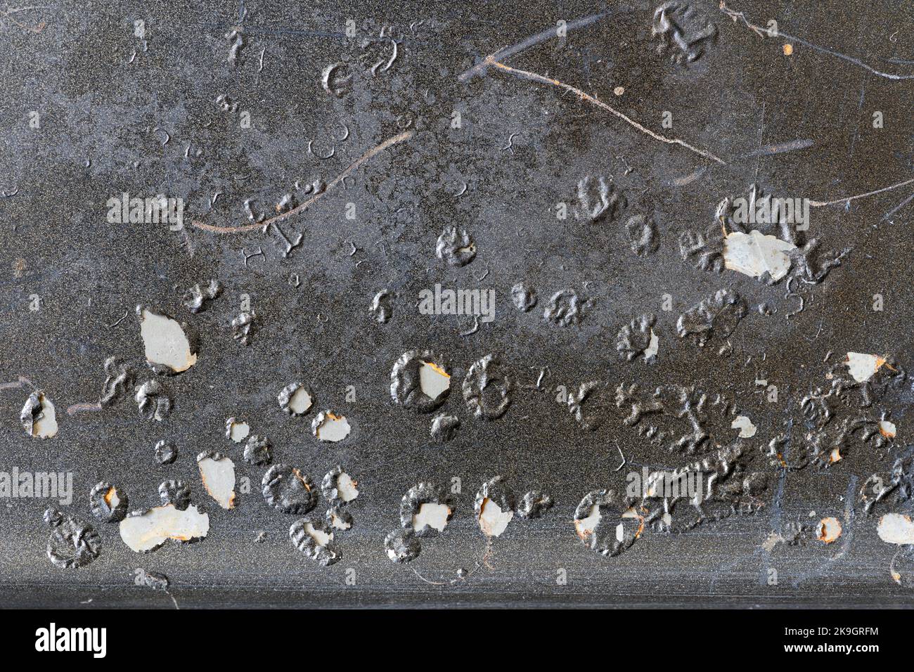 Perfluorinated alkylated substances -Fotos und -Bildmaterial in hoher ...