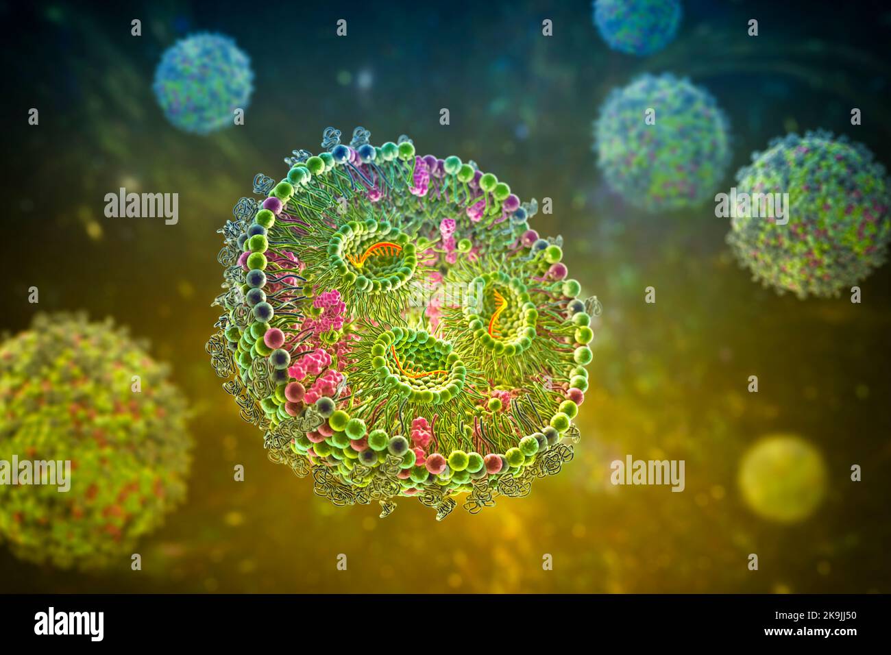 Rna mrna impfstoff -Fotos und -Bildmaterial in hoher Auflösung – Alamy