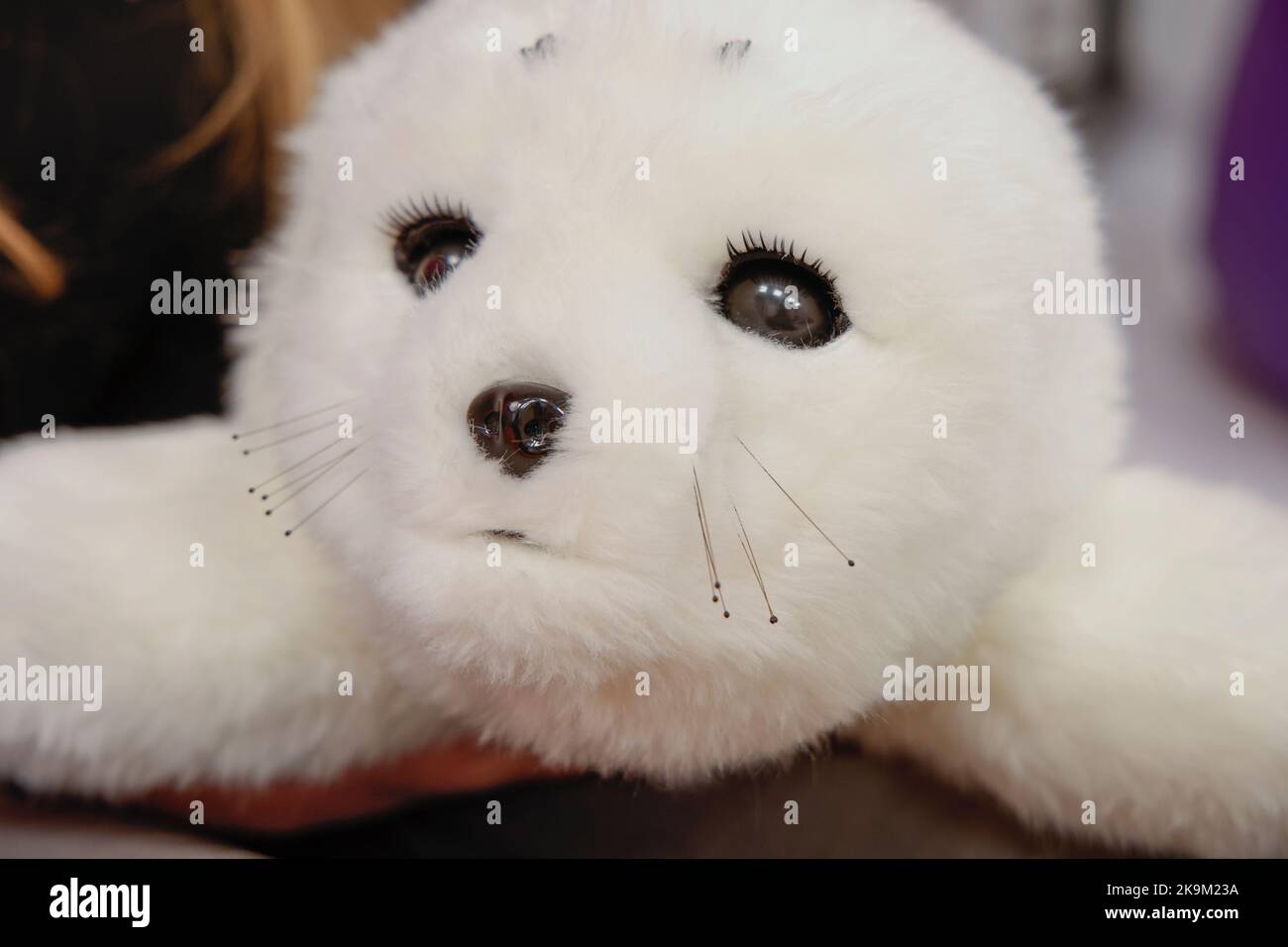 Paro robot -Fotos und -Bildmaterial in hoher Auflösung – Alamy