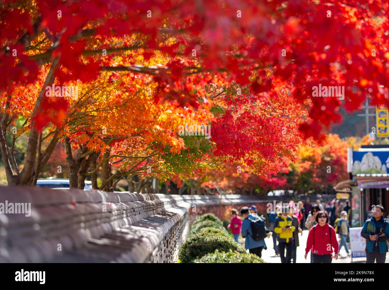 Juwangsan national park -Fotos und -Bildmaterial in hoher Auflösung – Alamy
