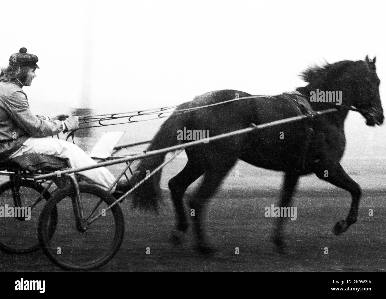 Norbert nigbur 1972 -Fotos und -Bildmaterial in hoher Auflösung – Alamy