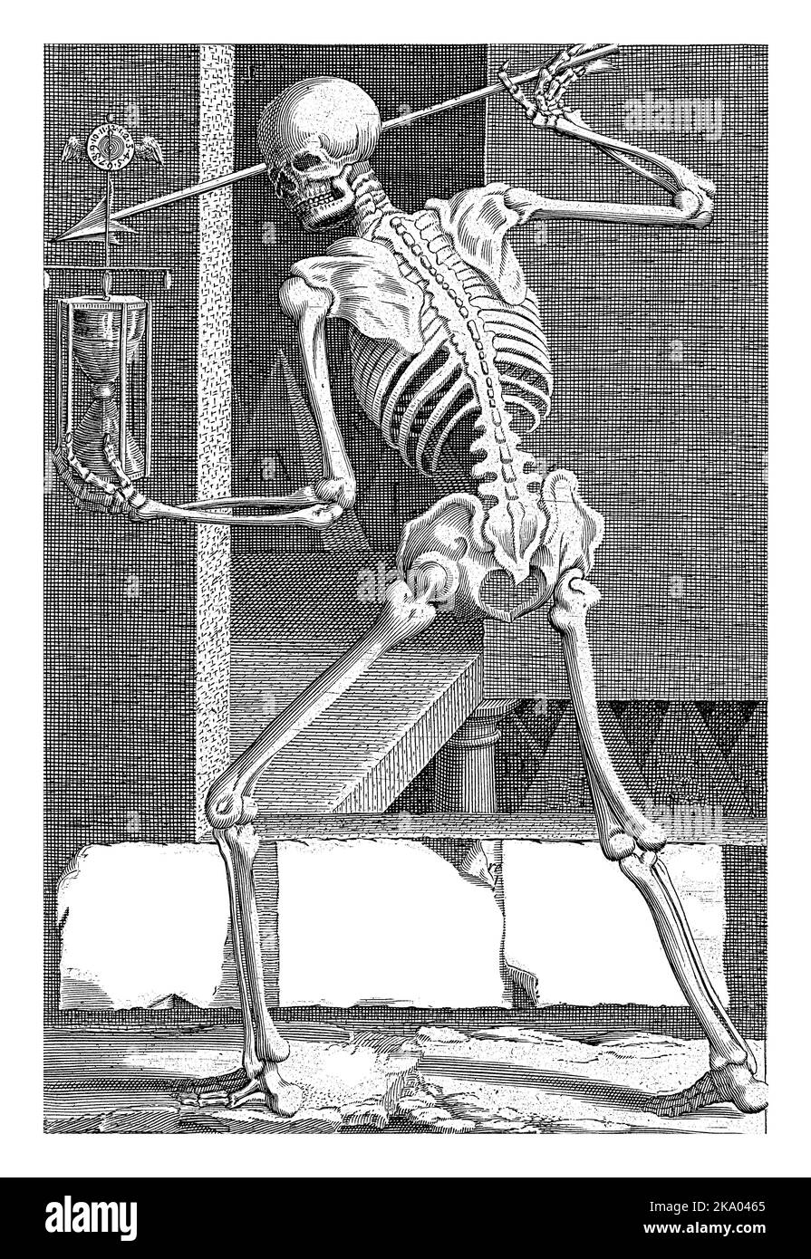 Tod als skelett Ausgeschnittene Stockfotos und -bilder - Alamy