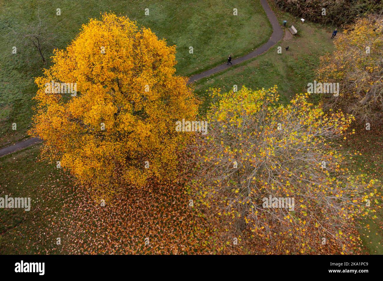 Im Priory Park in Warwick wandern die Menschen durch die Herbstfarbe ...