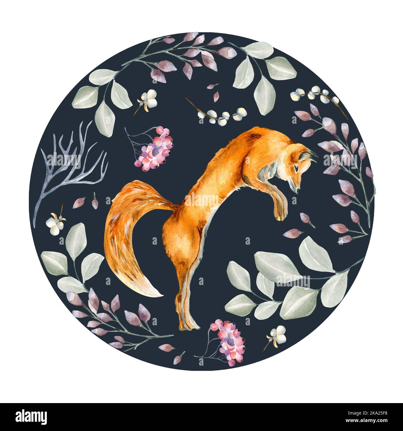 Fuchs aquarell illustration -Fotos und -Bildmaterial in hoher Auflösung ...