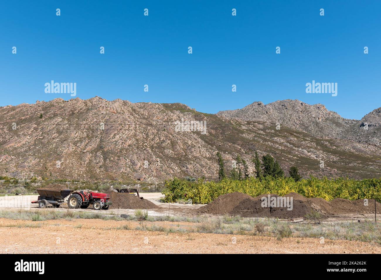 KOUE BOKKEVELD, SÜDAFRIKA - SEP 9, 2022: Ein roter Traktor mit Kipper ...