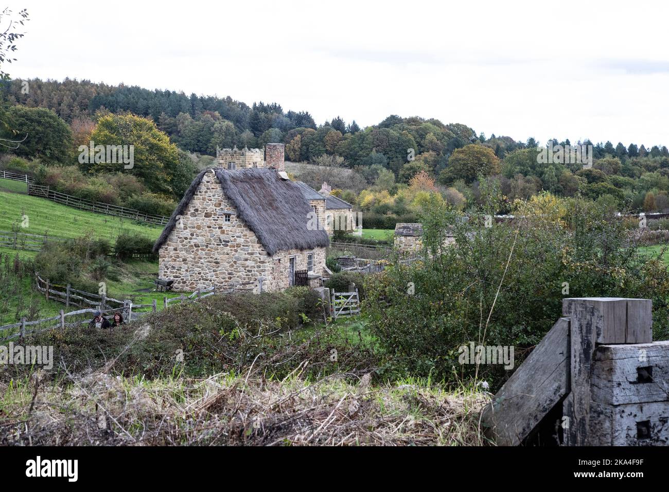 Der ältere witwer joe wurde im januar 1826 getötet -Fotos und ...