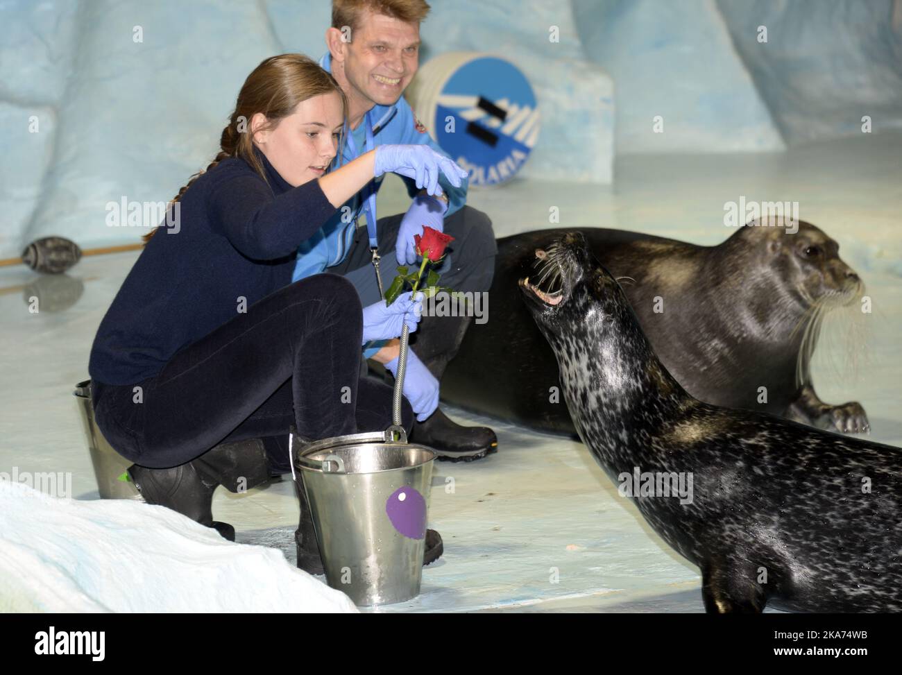Tromsoe, Norwegen 20181117. Prinzessin Ingrid Alexandra füttert die ...
