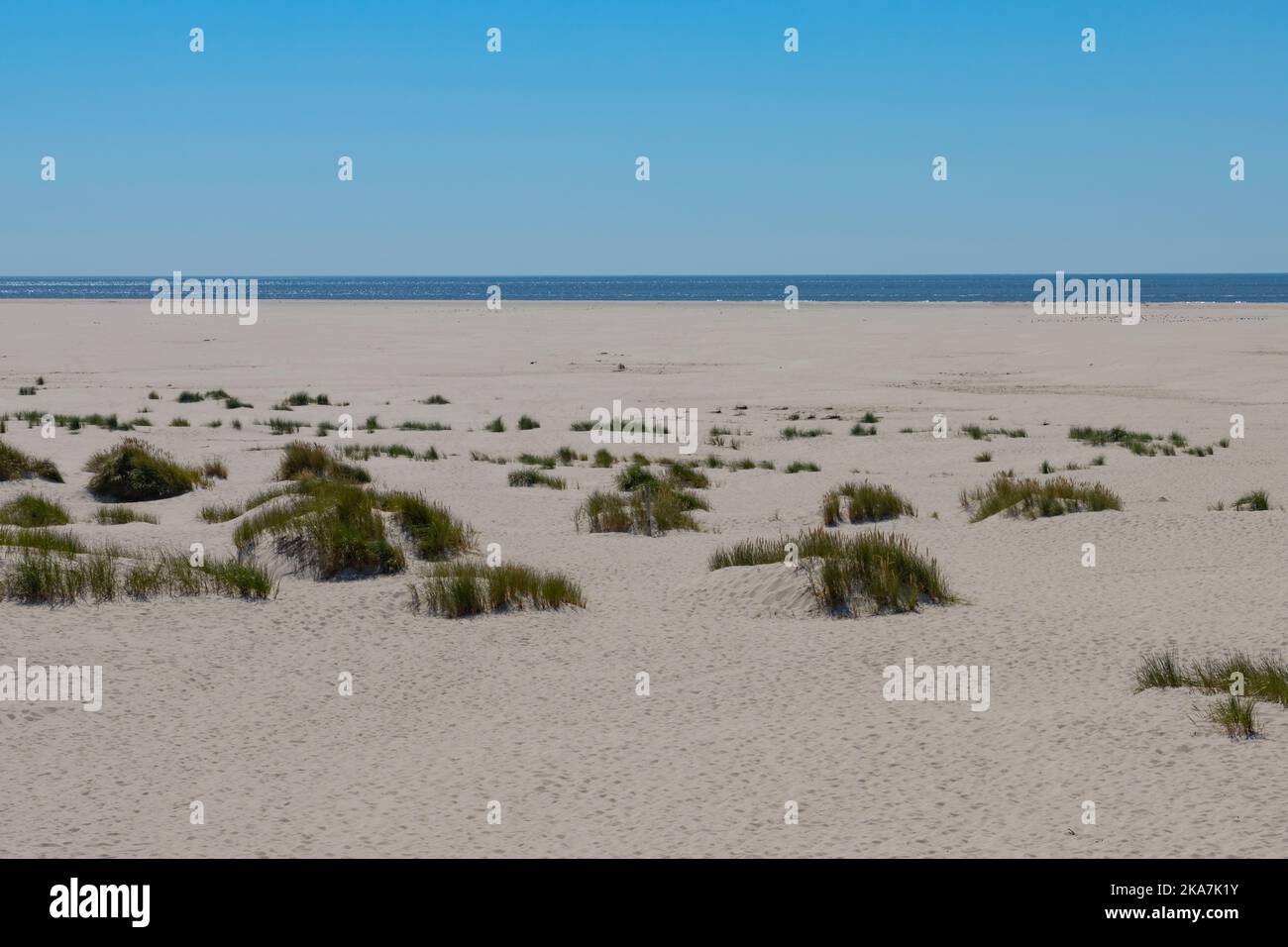 Strand auf amrum island -Fotos und -Bildmaterial in hoher Auflösung – Alamy