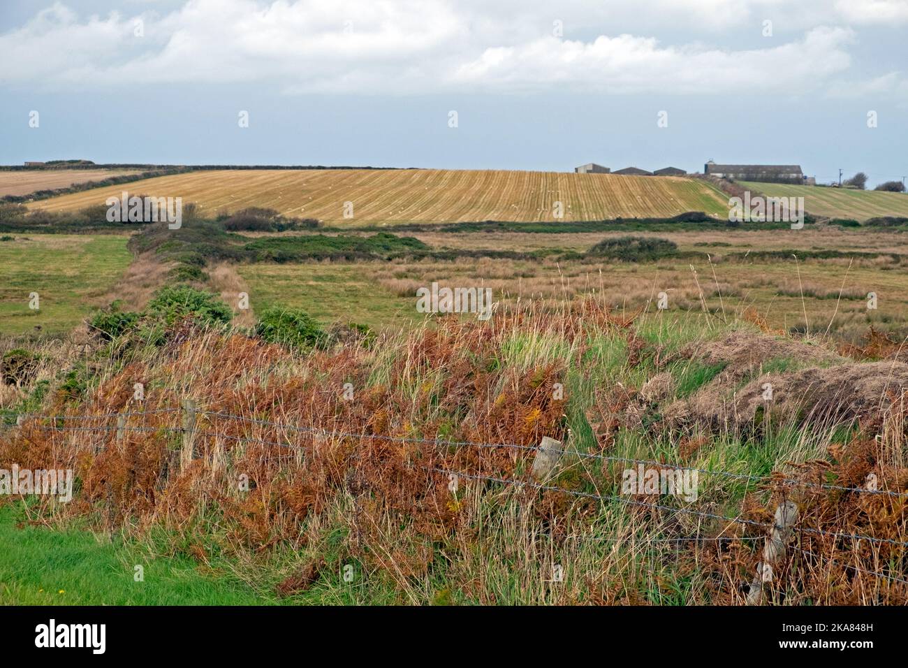Kathy felder -Fotos und -Bildmaterial in hoher Auflösung – Alamy