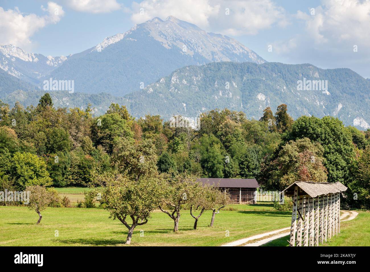 Veliki stol -Fotos und -Bildmaterial in hoher Auflösung – Alamy