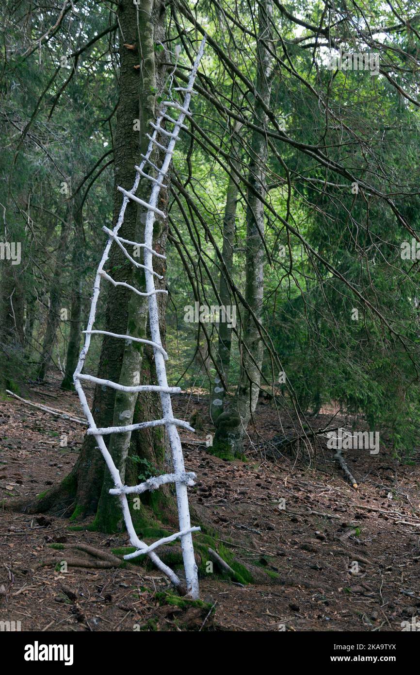 Les balcons de l'aigoual -Fotos und -Bildmaterial in hoher Auflösung – Alamy