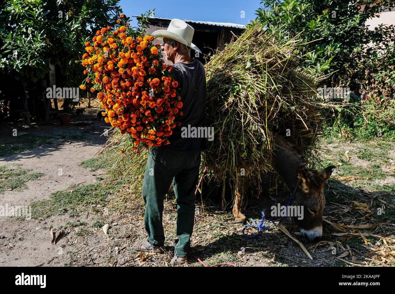 San agustin festlichkeiten -Fotos und -Bildmaterial in hoher Auflösung – Alamy