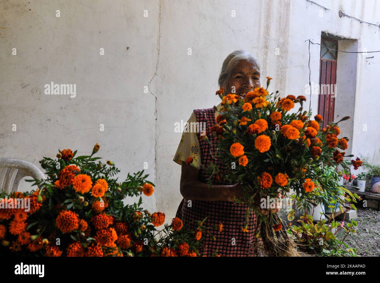 San agustin festlichkeiten -Fotos und -Bildmaterial in hoher Auflösung – Alamy