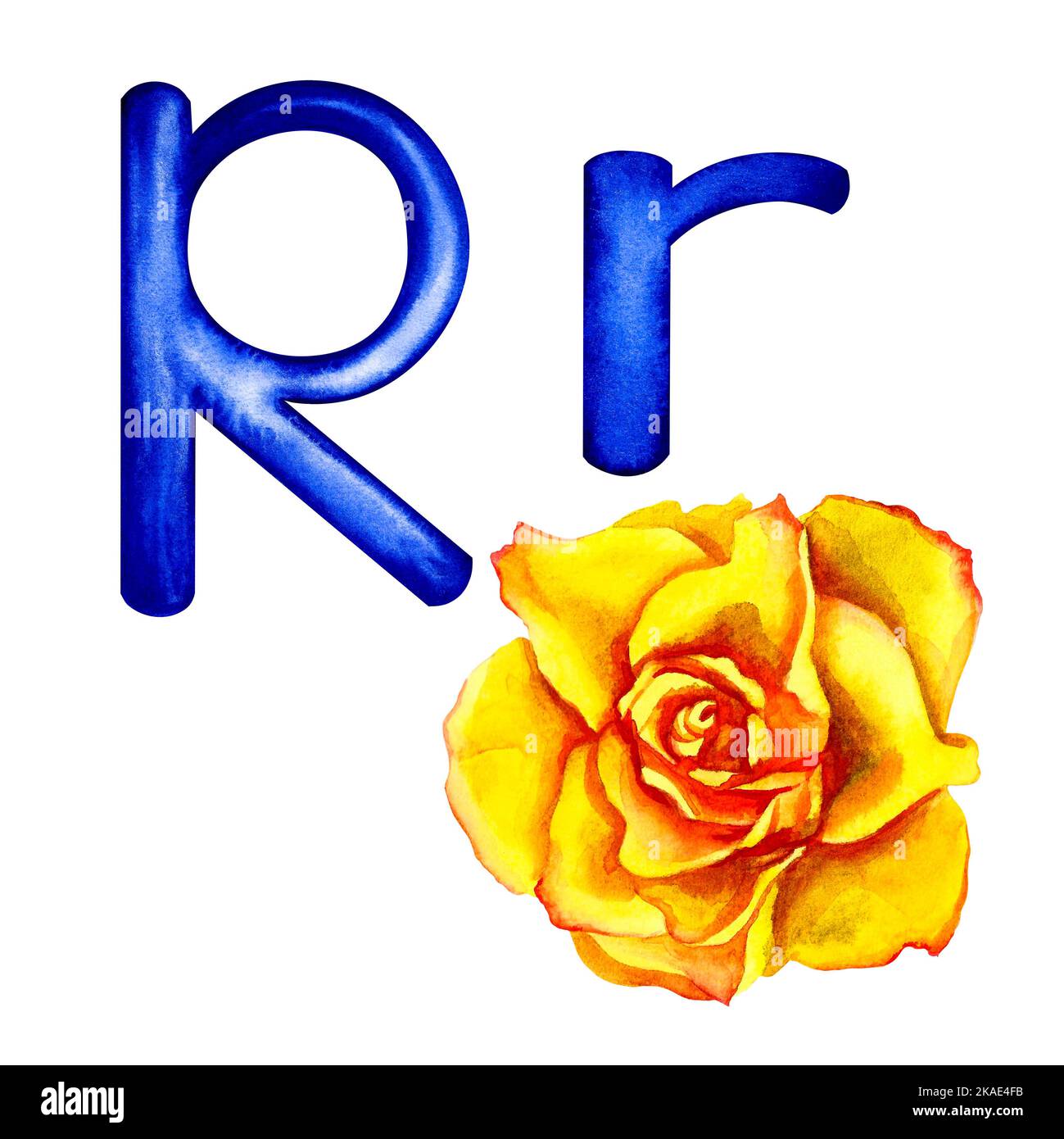 Der Buchstabe R ist Groß- und Kleinschreibung mit dem Bild einer Rose ...