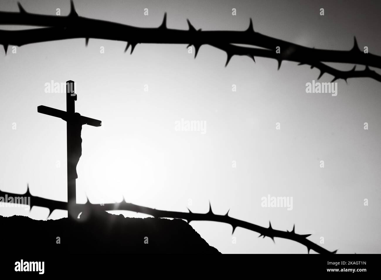 Jesus thorns -Fotos und -Bildmaterial in hoher Auflösung - Seite 3 - Alamy