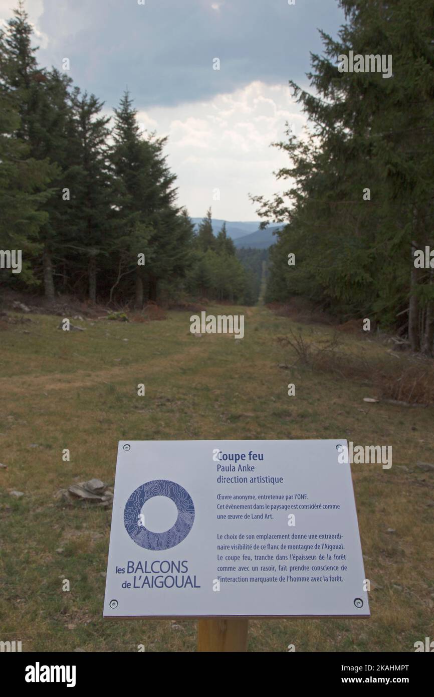 Paula anke -Fotos und -Bildmaterial in hoher Auflösung – Alamy