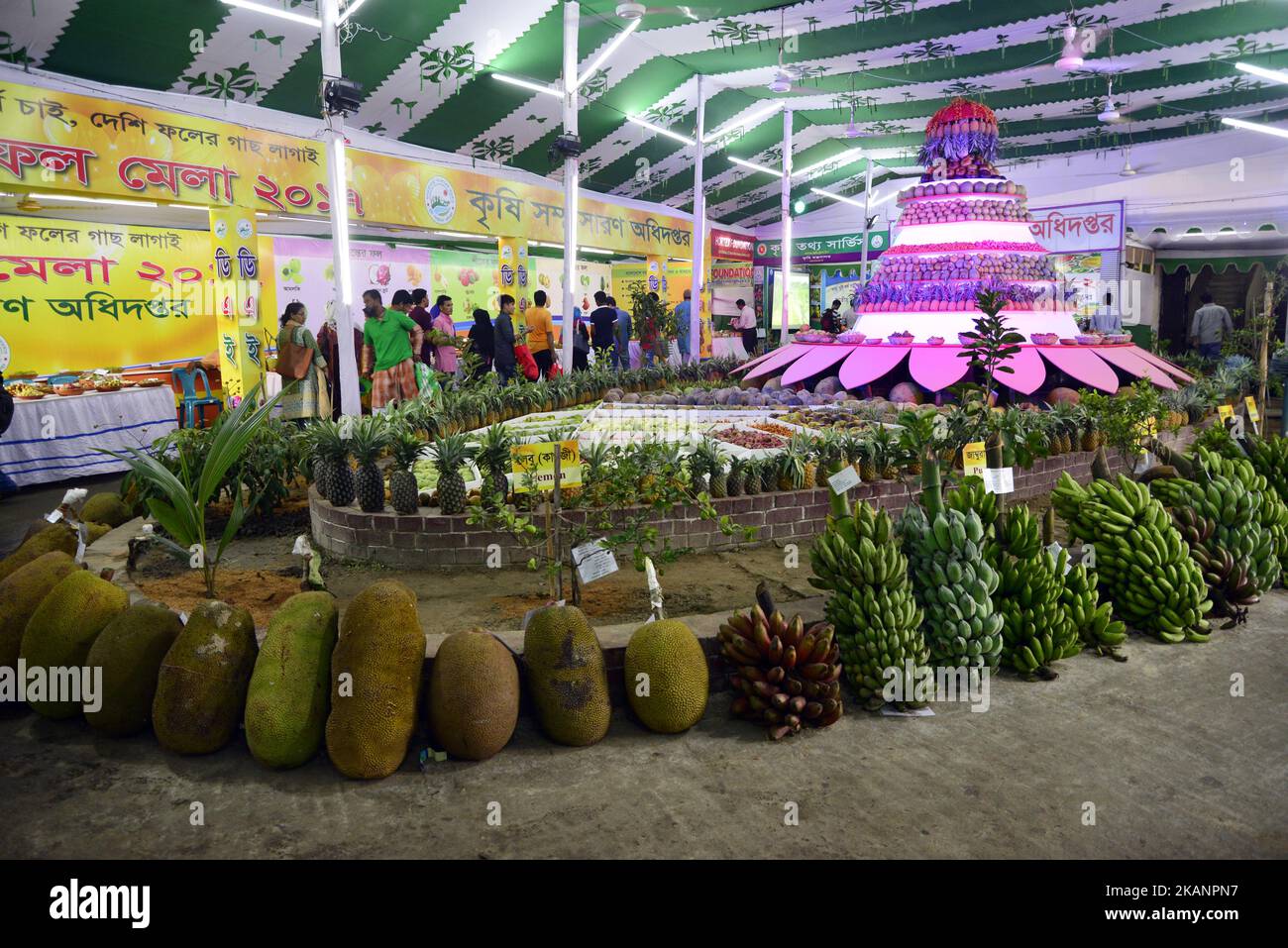 Verities Fruits wurde am 16. Juni 2017 in der National Fruit Exhibition ...