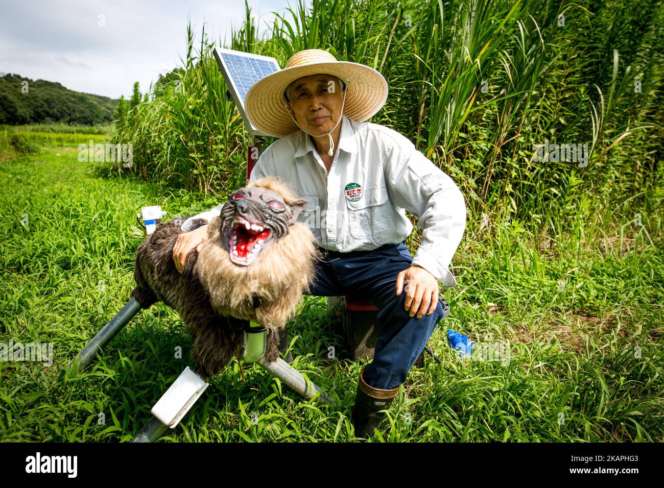 Chikao Umezawa, Leiter von ja Kisarazu-shi, posierte für ein Foto neben ...