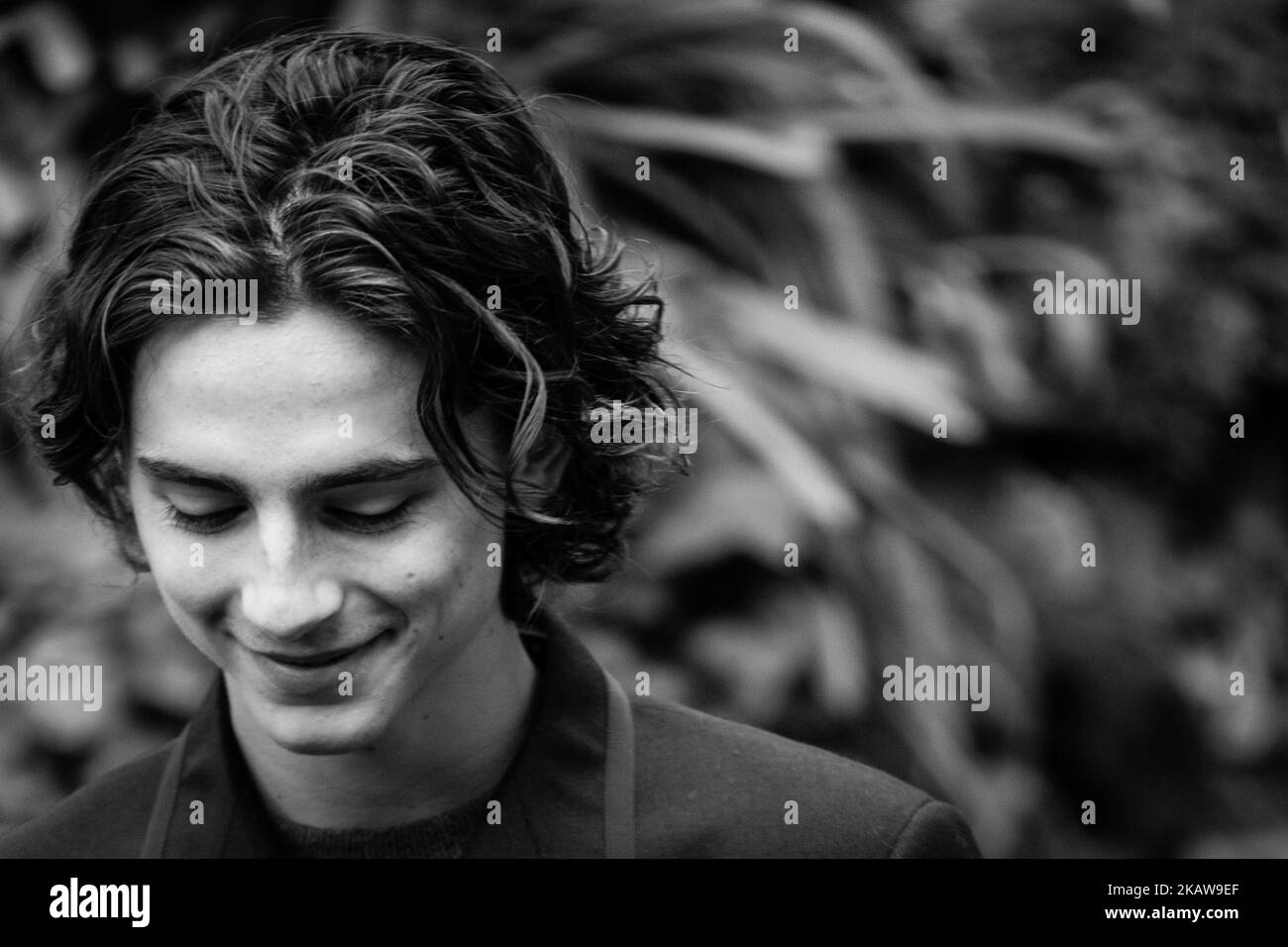 Regisseur luca guadagnino und timothee chalamet -Fotos und ...