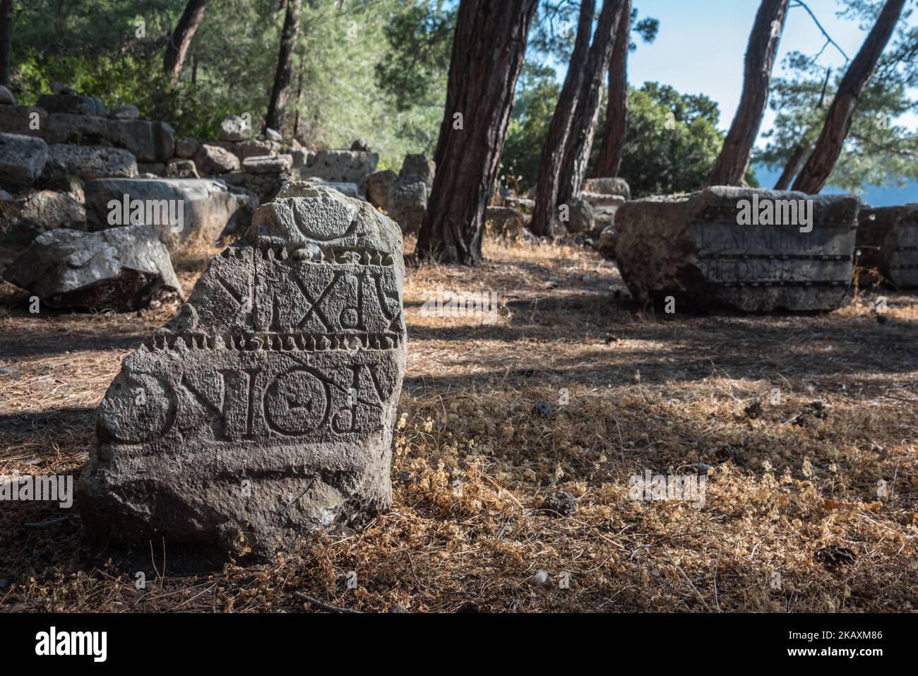 Eine griechische Inschrift auf einem Stein im Wald bei Phaselis ...