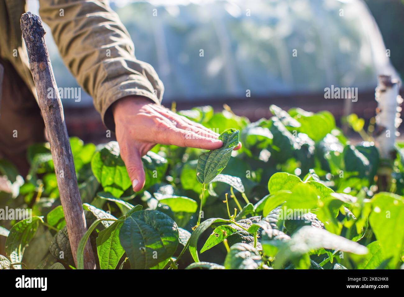 Ackerbau ackerbau anbauen anbauen anbau anbauen anbauen anbauen anbauen anbauen anbauen anbauen ...