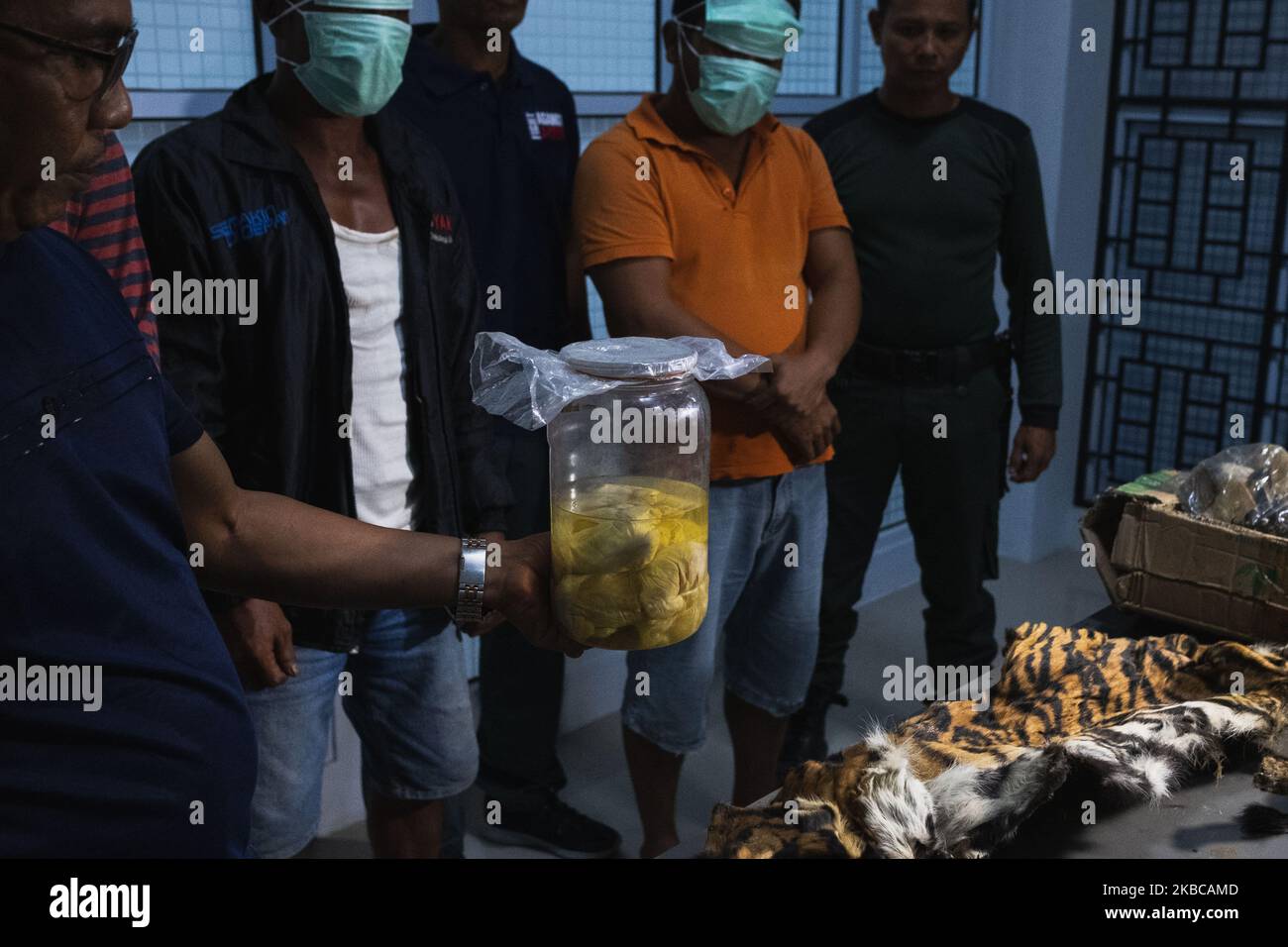 Pelalawan regency -Fotos und -Bildmaterial in hoher Auflösung – Alamy