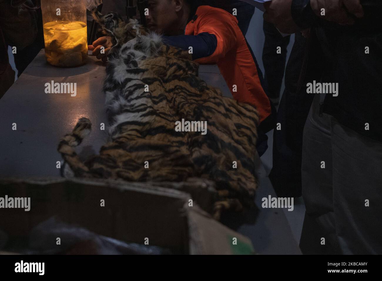 Pelalawan regency -Fotos und -Bildmaterial in hoher Auflösung – Alamy