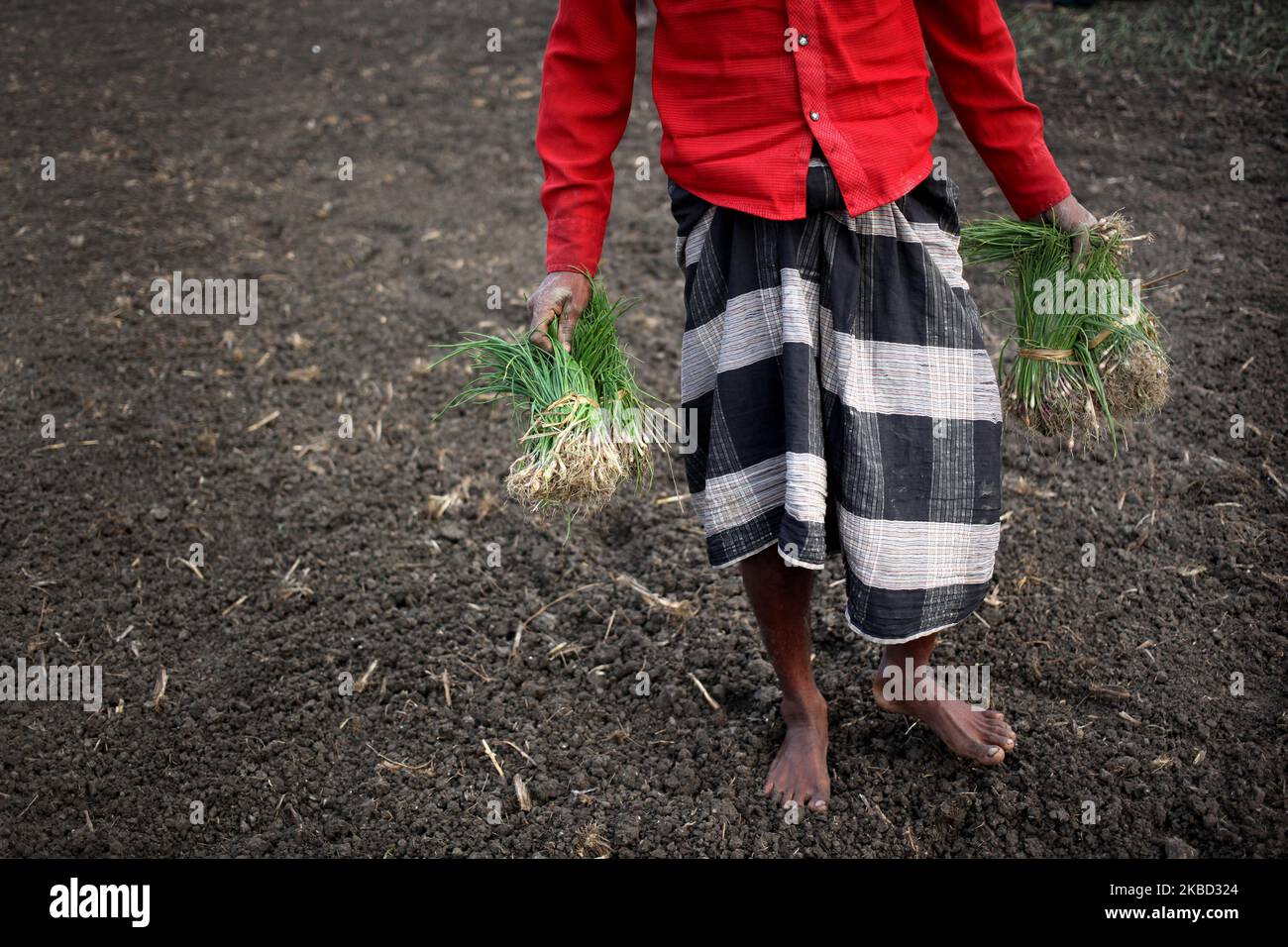 Syed mahamudur rahman nurphoto -Fotos und -Bildmaterial in hoher ...