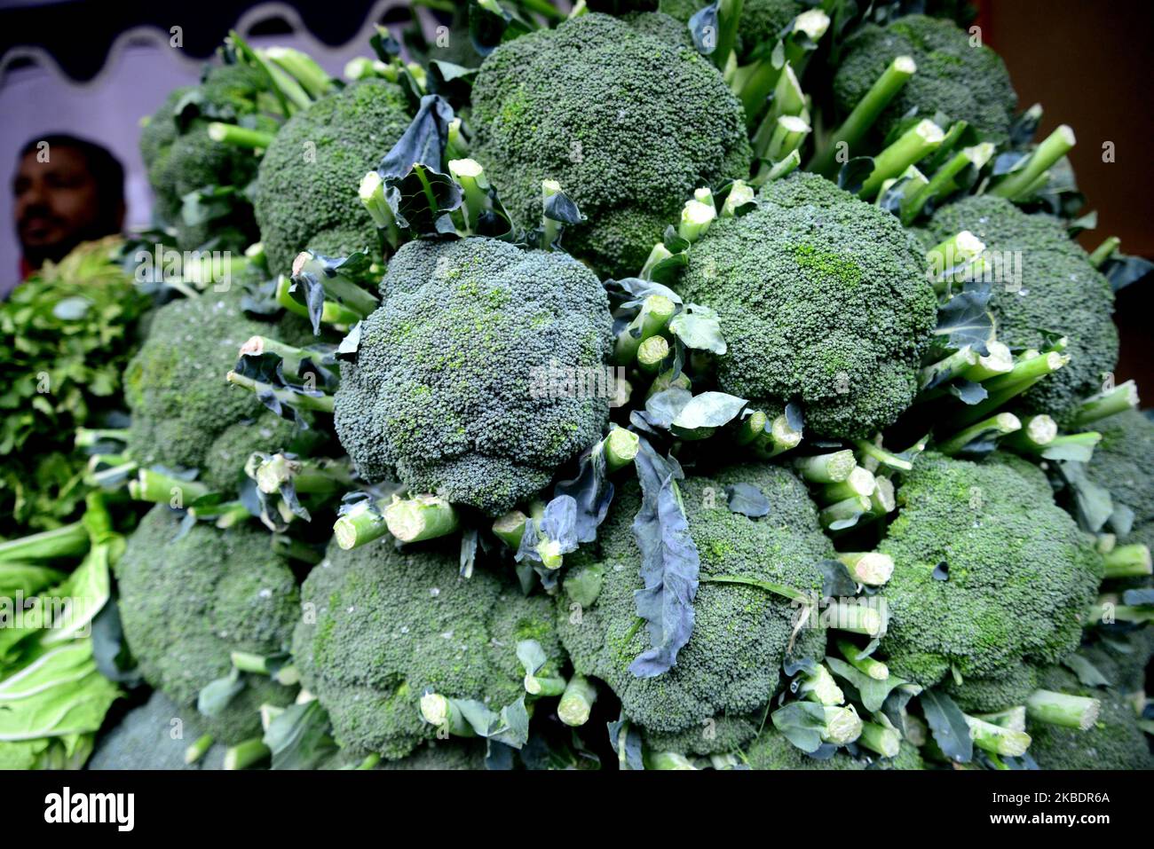 Verities Gemüse in der National Vegetable Exhibition im Agricultural ...