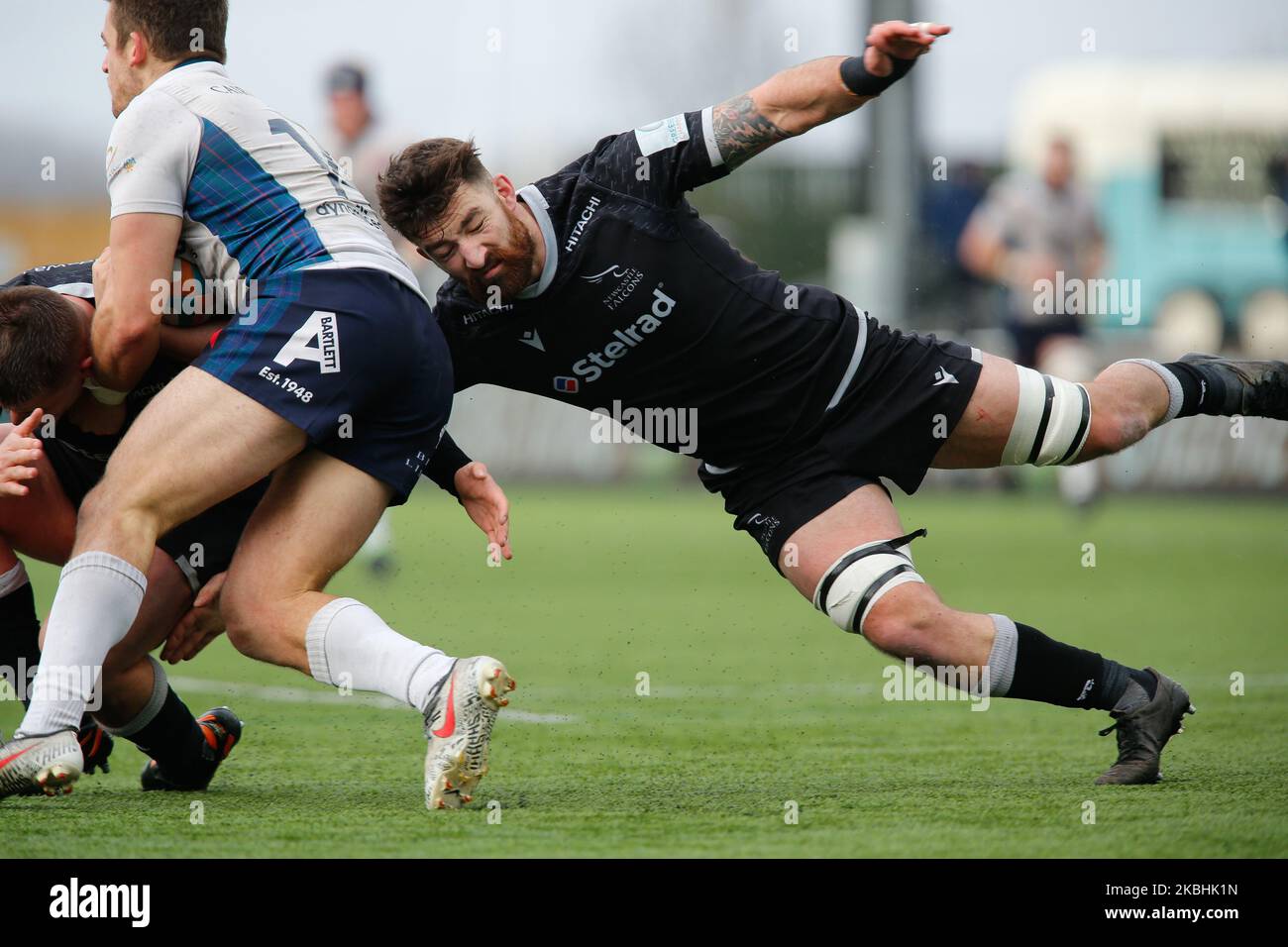 Gary graham von newcastle falcons fliegt -Fotos und -Bildmaterial in ...