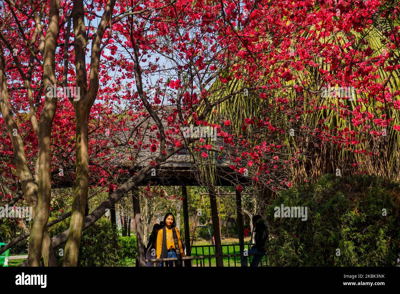 Sunil pradhan nurphoto -Fotos und -Bildmaterial in hoher Auflösung – Alamy