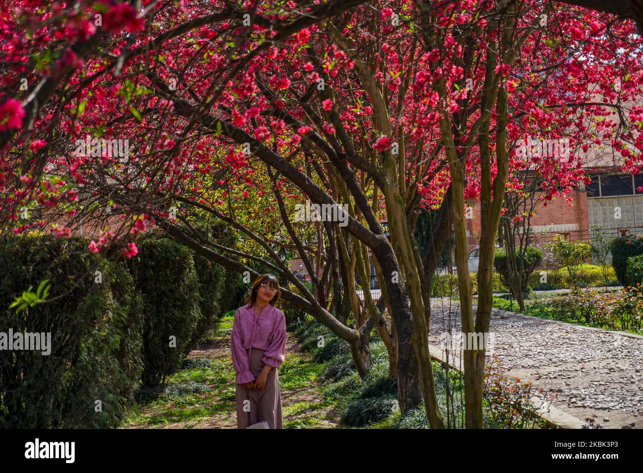 Sunil pradhan nurphoto -Fotos und -Bildmaterial in hoher Auflösung – Alamy