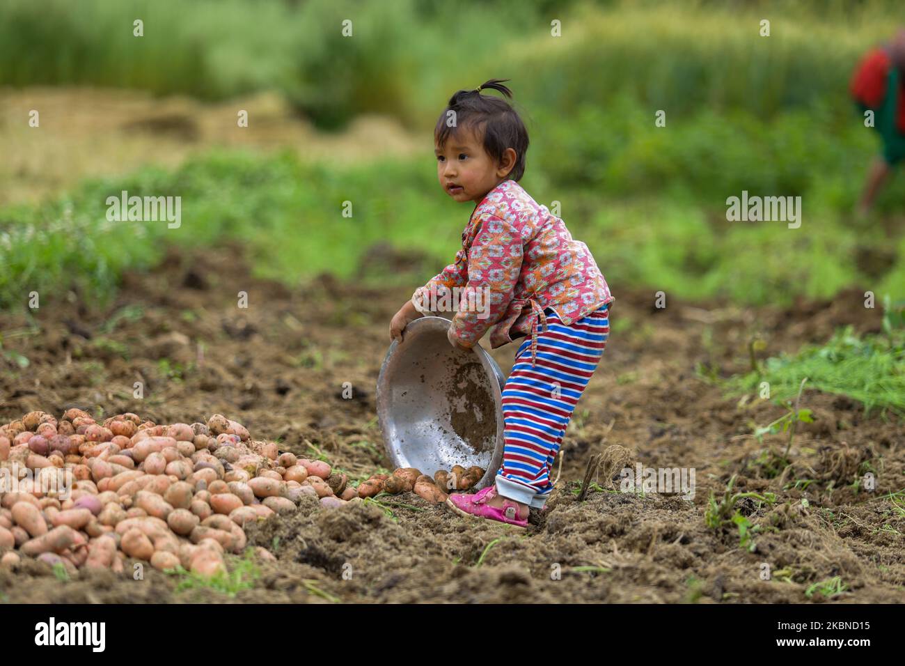 Sunil pradhan nurphoto -Fotos und -Bildmaterial in hoher Auflösung – Alamy
