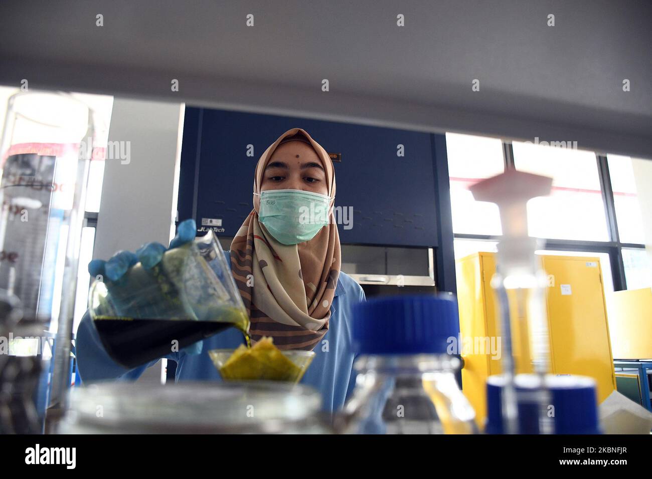 Forscher des Indonesischen Instituts der Wissenschaften (LIPI) führten ...