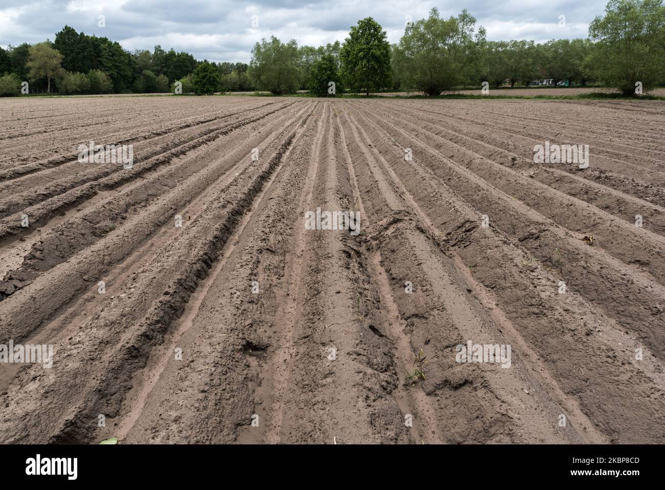 Gefahr extreme hitze in belgien -Fotos und -Bildmaterial in hoher Auflösung – Alamy