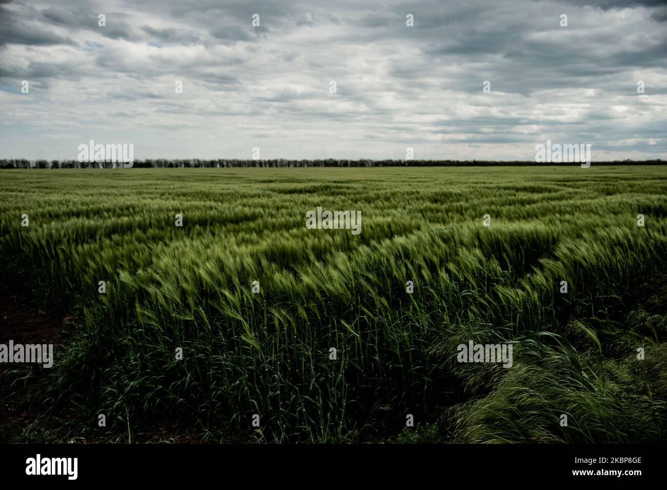 Bulgarisches dorf balgarevo -Fotos und -Bildmaterial in hoher Auflösung ...