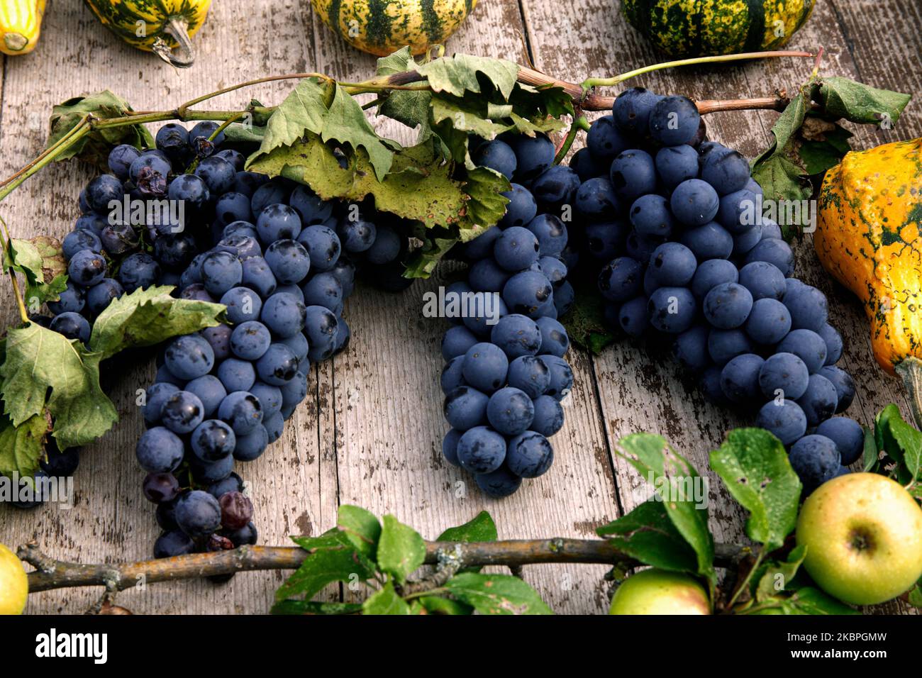 Sagre autunnali -Fotos und -Bildmaterial in hoher Auflösung – Alamy