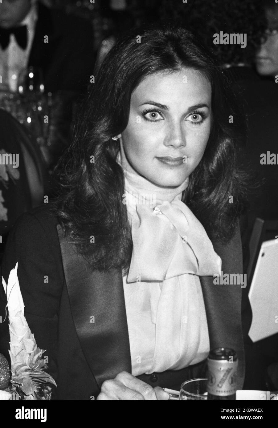 Lynda Carter beim Salute to Elizabeth Taylor and Jack Warner by Jewish ...